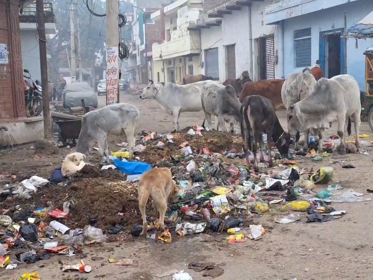Piles of garbage everywhere in the city.Despite adequate resources, the ...