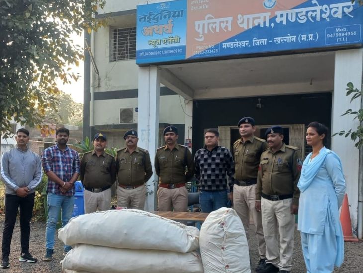 Illegal marijuana cultivation was taking place in Mandleshwar ...