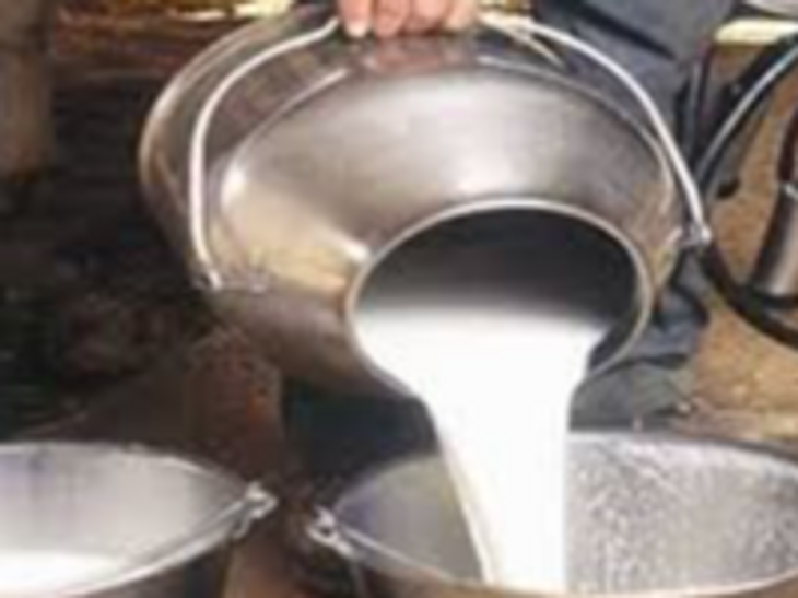 Six samples of milk, curd and cheese failed, case filed