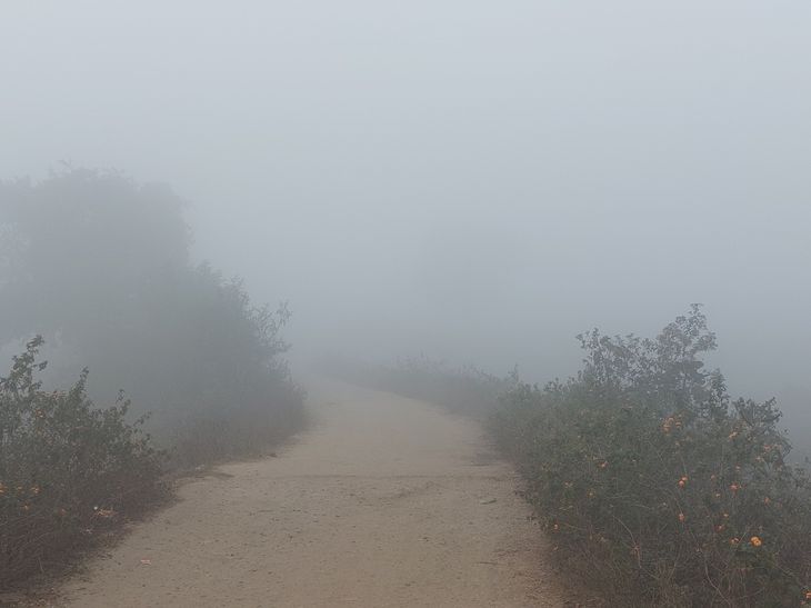 Dense fog blocked sunlight, administration has not yet made ...