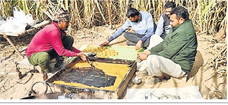 Elders and youth are still preparing local jaggery, GB area of Jaitsar ...