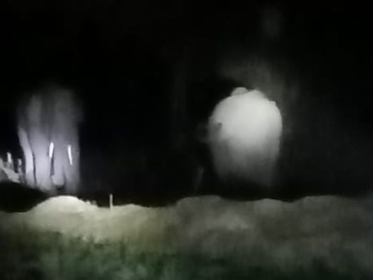 Two elephants reached the forest of Gobri and Pagana. | गोबरी व पगना के ...