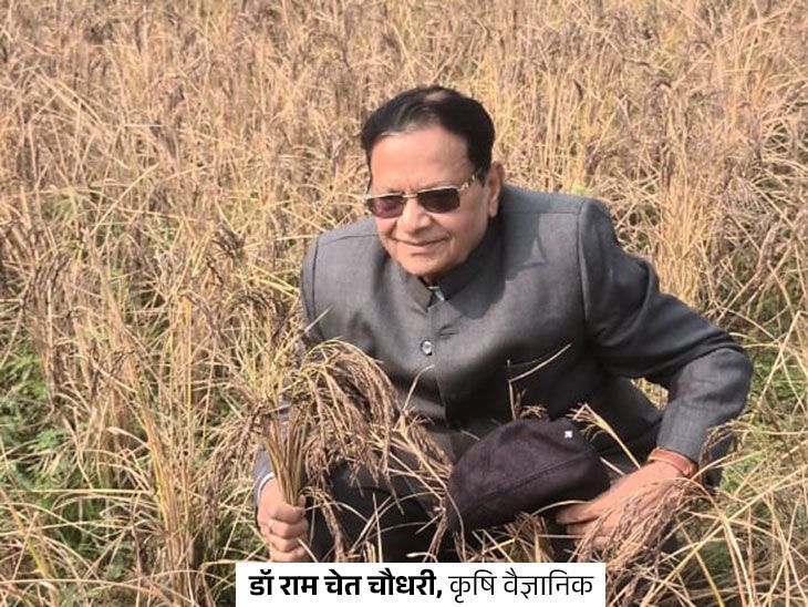 Agricultural scientist of Gorakhpur will be honored with Padmashree. Dr ...