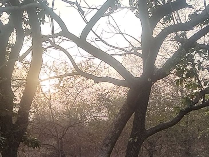 Started feeling slight heat during the day, day temperature reached 25 ...