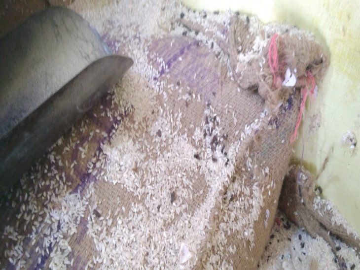 If you eat this rice, liver and kidney damage is certain. | ये चावल खा ...