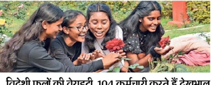 Fighter aircraft is attracting flowers planted in 20 thousand rose ...