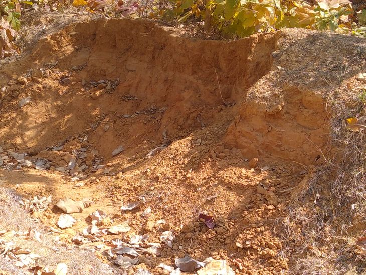 Pradhan accused of mining soil from Chakia forest area | चकिया वन ...