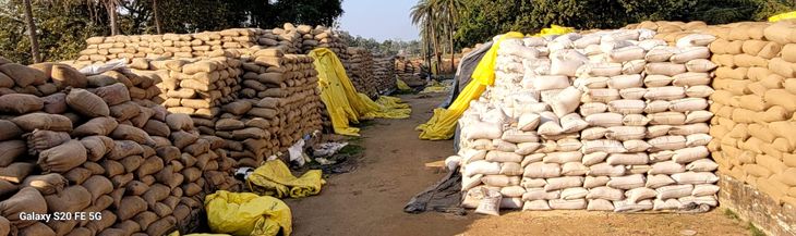 8.62 lakh quintals of paddy jammed in the purchase centers of ...