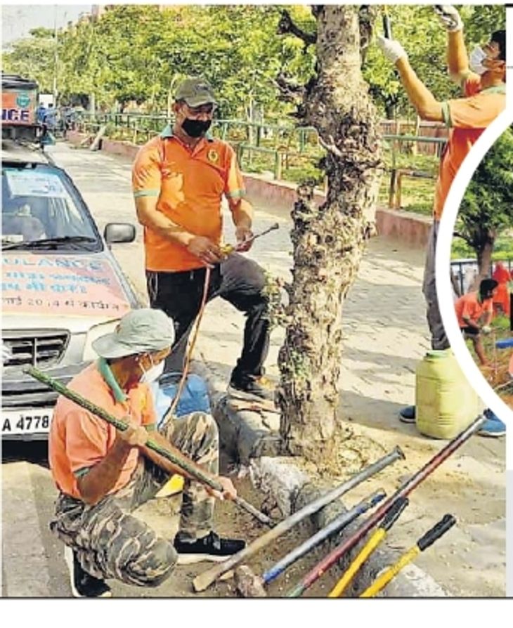 Tree ambulance started to provide relief to dry and sick trees and ...