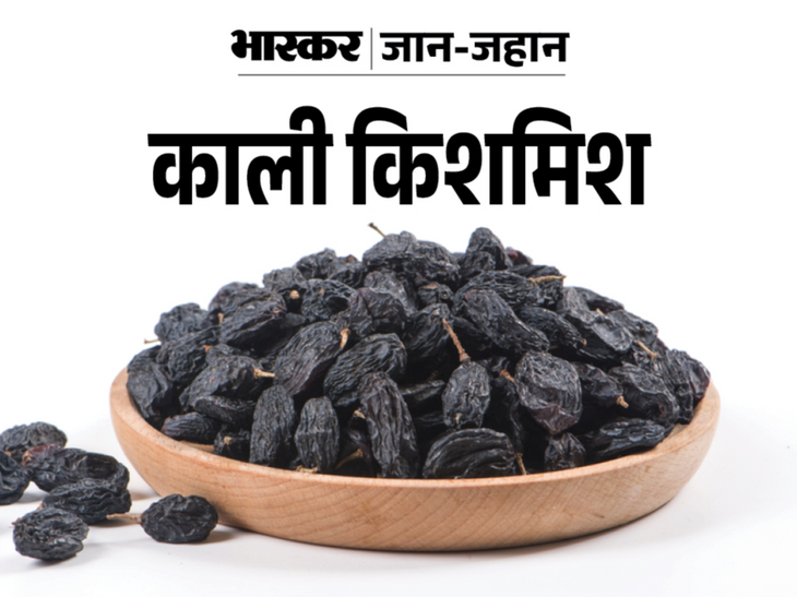 Black raisins remove weakness | काली किशमिश कमजोरी दूर करे: एनीमिया ...