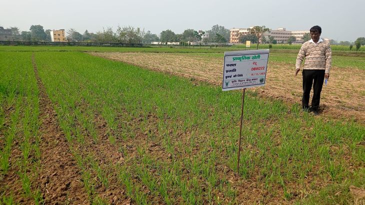 Natural farming is being done to save environment and human life ...