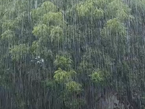Chances of rain in all divisions including Raipur, no change in ...