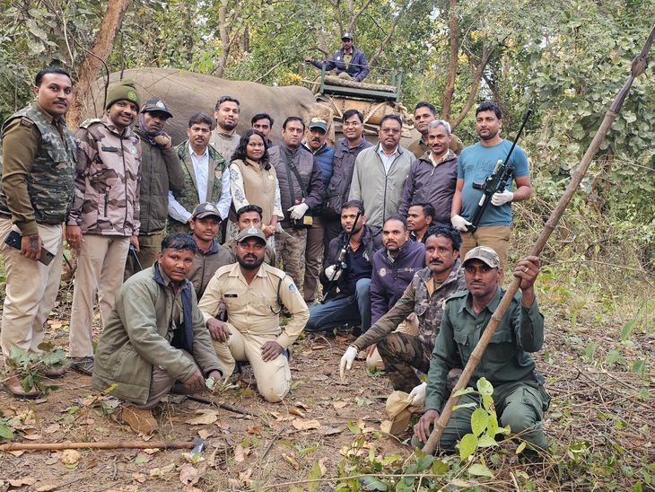 Elephant rescue from Jaithari range | जैतहरी रेंज से हाथी का रेस्क्यू ...