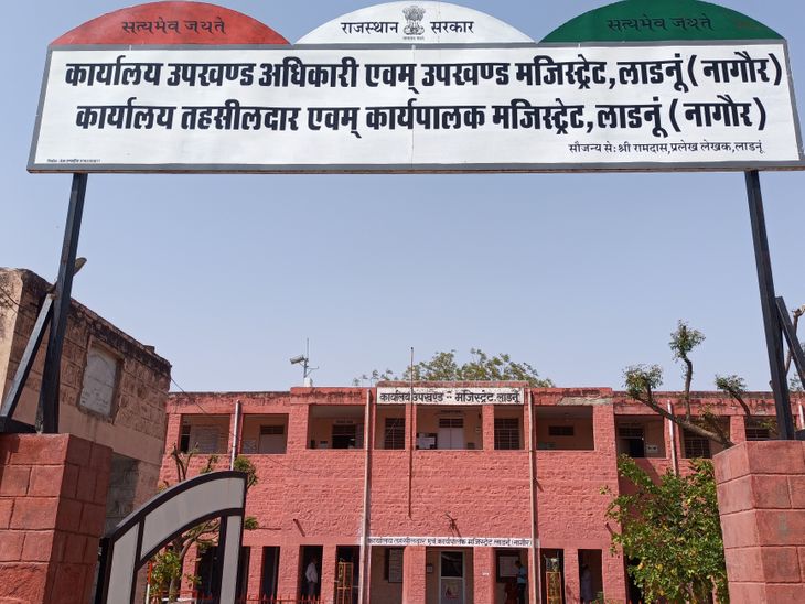 Rabi crop first in Ladnun state in Girdawari | रबी की फसल गिरदावरी में ...