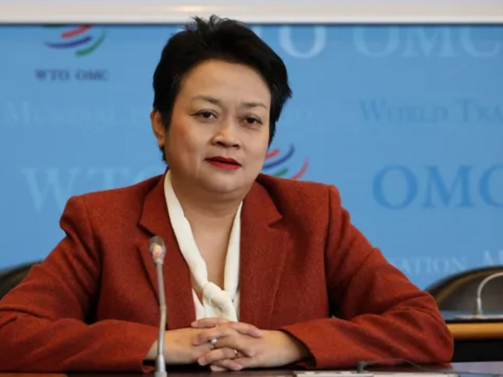 India Vs Thailand; WTO Ambassador Pimchanok Vonkorpon Pitfield | थाइलैंड ने भारत विरोधी बयान ...