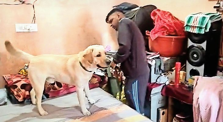 Narcotics Control Bureau team searched the house in Sethi Enclave of ...