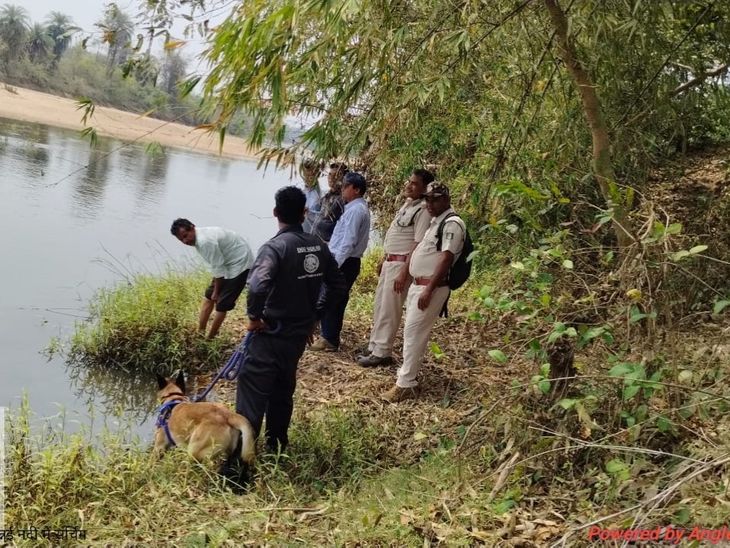 tiger death case | बाघ की मौत का मामला: एसटीएफ जबलपुर की टीम ने की ...