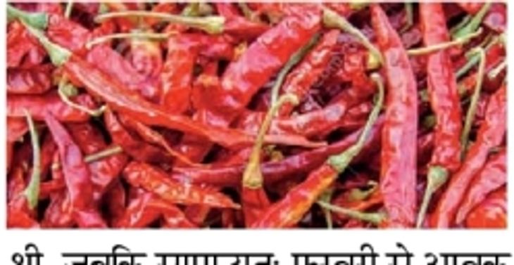 Red chilli crop likely to be vigorous | लालमिर्च की फसल जोरदार होने की ...