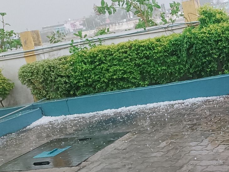 Weather patterns changed in Seoni | सिवनी में बदला मौसम का मिजाज: तेज ...