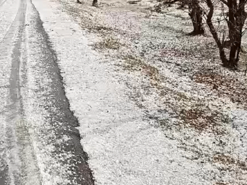 Chhattisgarh IMD Weather Forecast Photos; Raipur Ambikapur Rainfall Alert