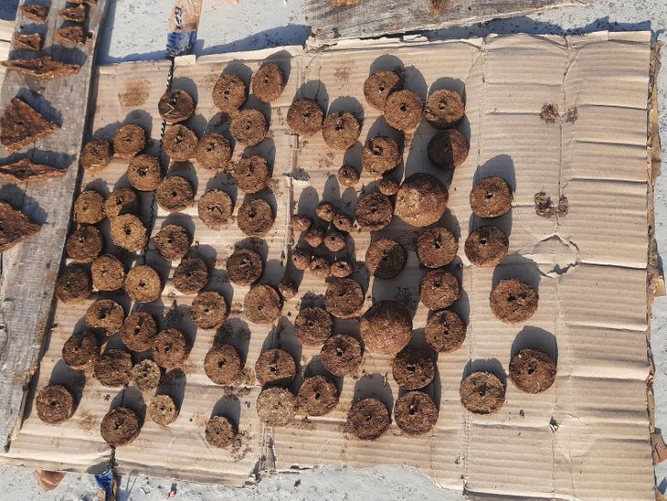 Holi preparations underway in Kannod Mirji | कन्नौद मिर्जी में होली की ...