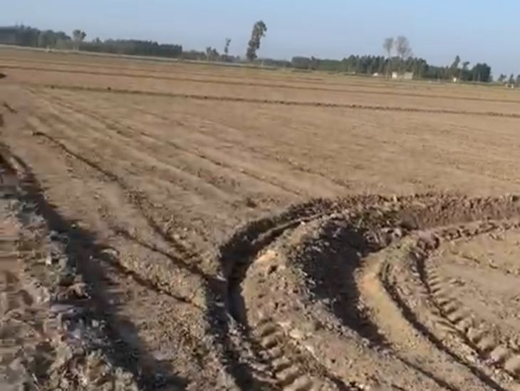 Kapurthala Tractor driven on crops; police action update