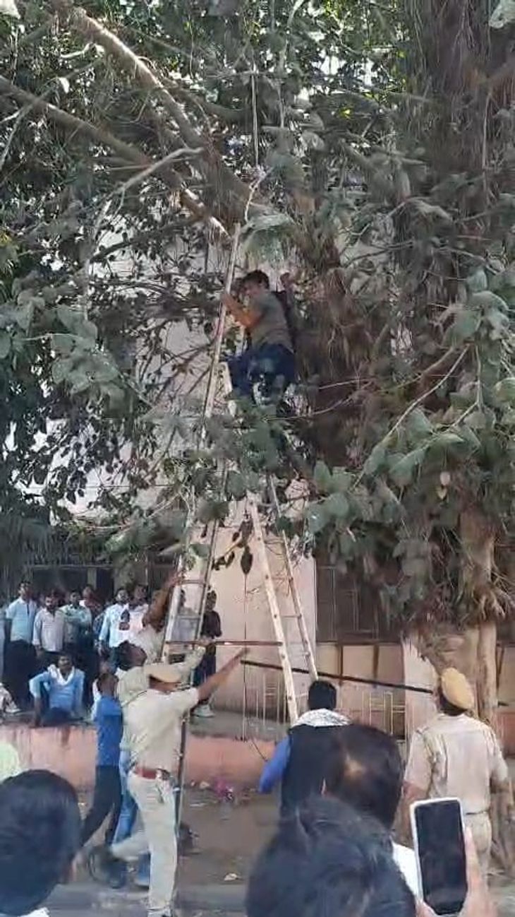 Troubled by the assault, the young man hanged himself from a tree in ...