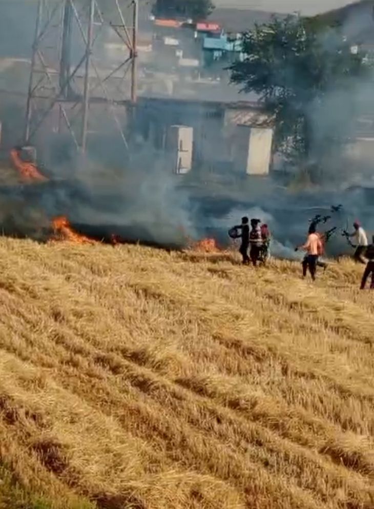 Fire started due to short circuit, wheat crop in 2 acres destroyed ...