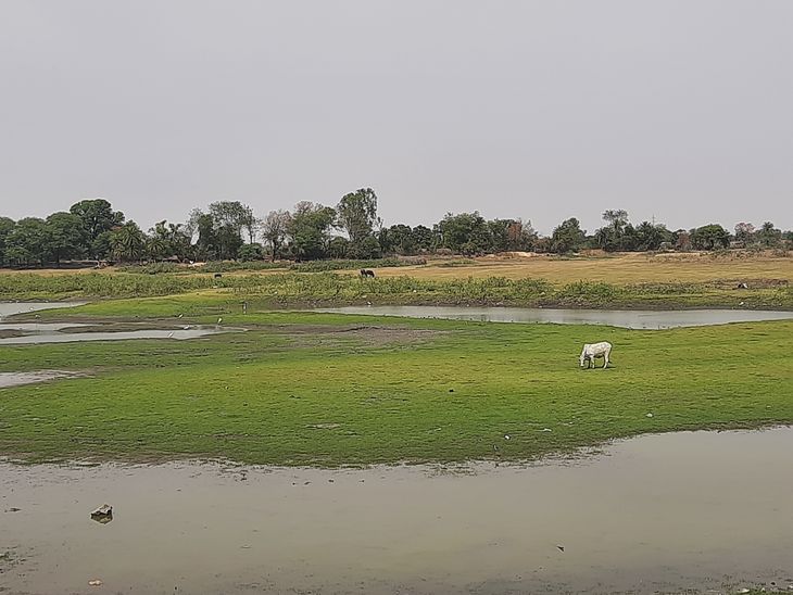 water crisis in kannaud mirji | कन्नौद मिर्जी में जल संकट: गर्मी शुरू ...