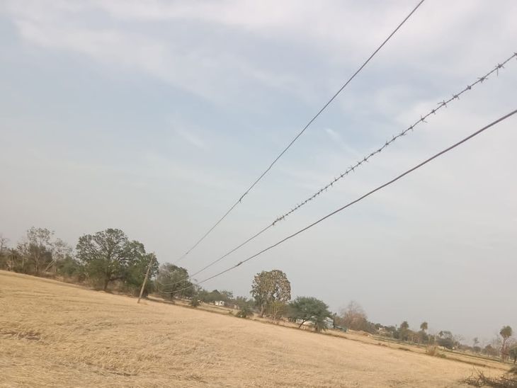 Connect the light wires to the boundary wall wire. | बिजली विभाग की ...