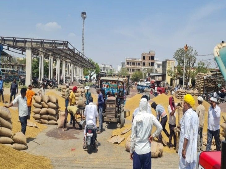 Thirty thousand sacks arrived in the agricultural market, eight hours ...