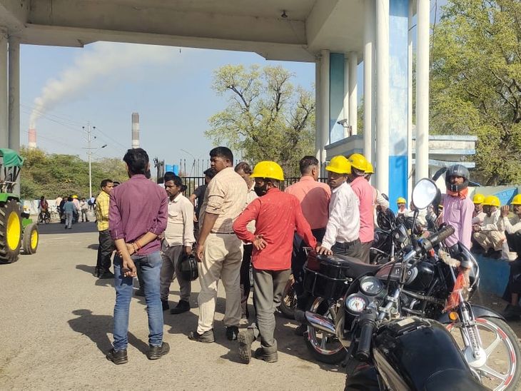 Bee attack on the gate of NTPC Rihand project | एनटीपीसी रिहन्द ...