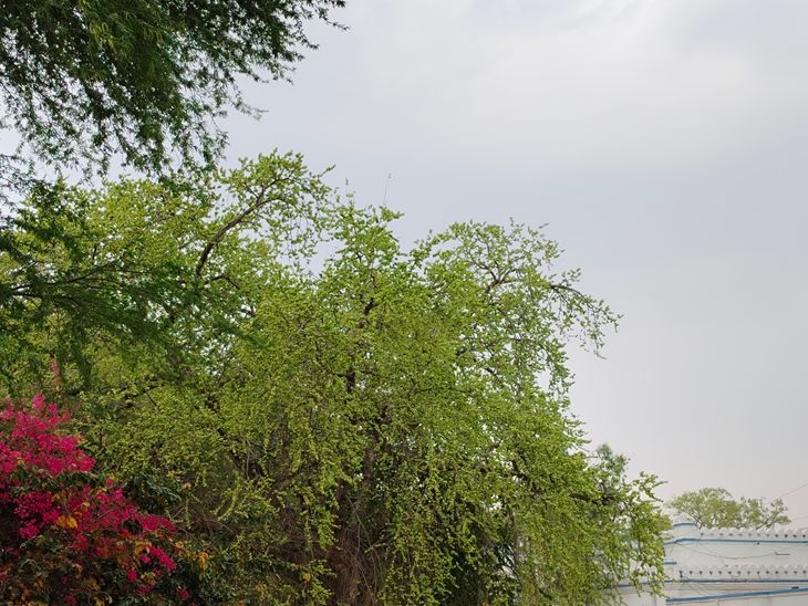 Effect of Western Disturbance, drizzle with strong storm in Datia ...