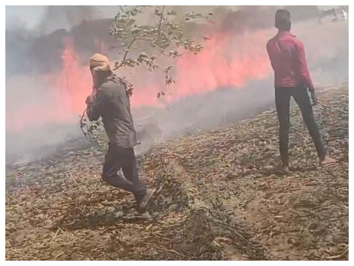 13 bighas of farmers' crops burnt to ashes in Ballia