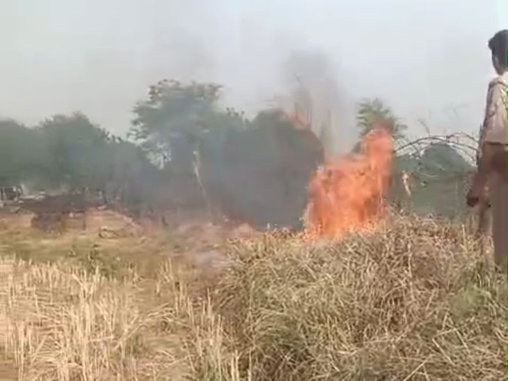 Fire breaks out in forest of Rampura in Jaloun