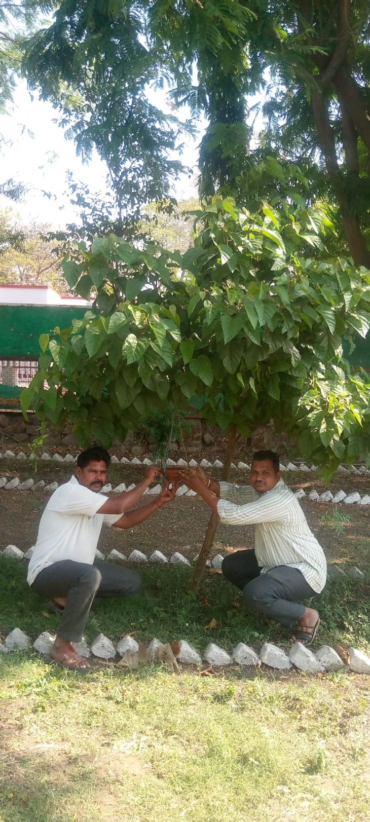 Water vessels hung on trees to quench the thirst of birds | पक्षियों की ...