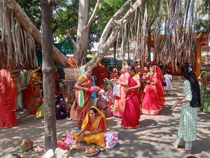 Worshiped the Peepal tree and observed the fast of Dasha Mata | पीपल की ...