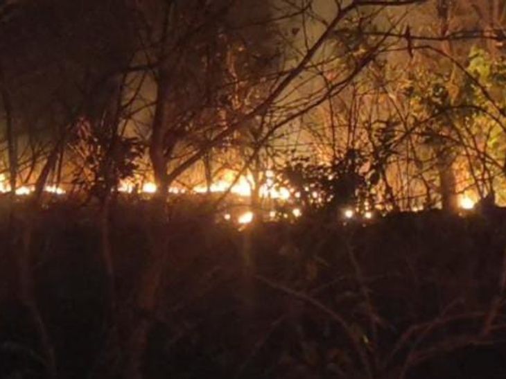 A huge fire broke out in Korba forest | कोरबा के जंगल में लगी भीषण आग ...