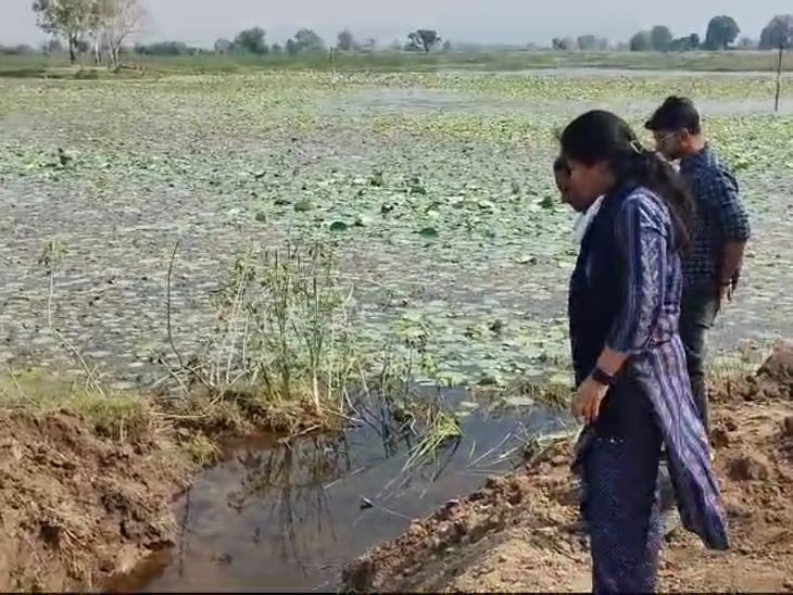 The water was released by breaking the pond's embankment