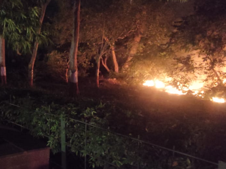 Fire breaks out near Taj Mahal | ताजमहल के पास लगी आग: अज्ञात व्यक्ति ...
