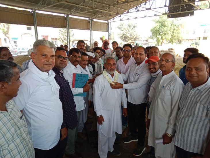 Government procurement of wheat started in Junction Dhan Mandi, 450 ...