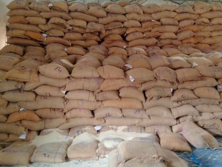 Weevil-infested rice arrived at control shops for distribution among ...