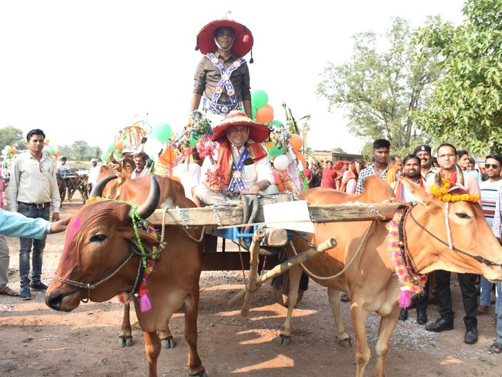 Collector and officers set out on a bullock cart in Balod, People in ...