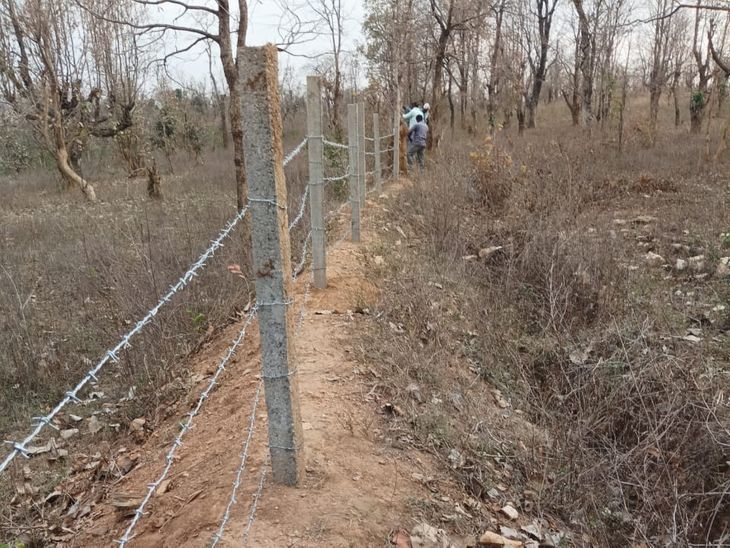 Construction of a unique goat bank in Sonbhadra | सोनभद्र में अनोखे गोट ...