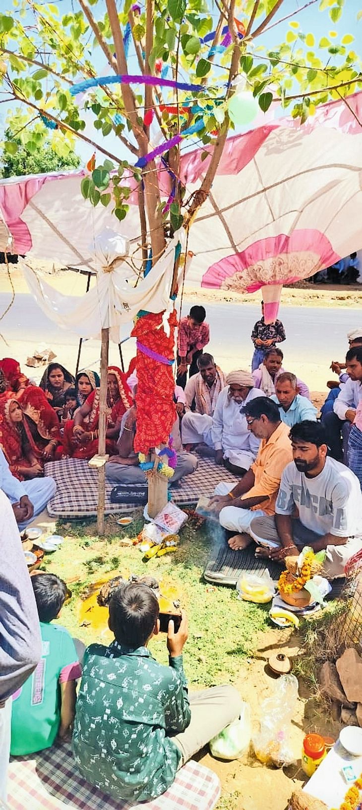 The marriage of Peepal and Peepli trees was done, the people of the ...
