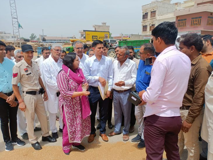 Barwala Mandi Administrative Secretary inspection | बरवाला मंडी पहुंची ...