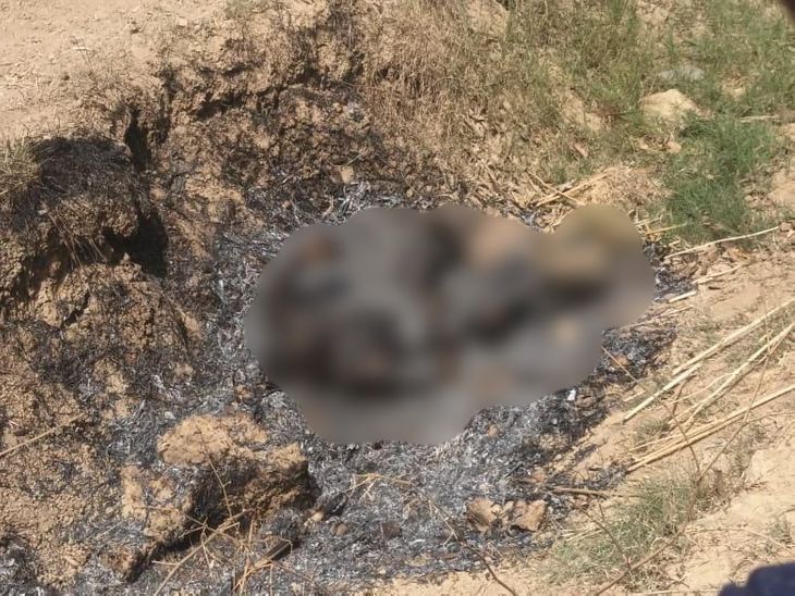 Half-burnt body of a youth found in Gonda | गोंडा में युवक का अधजला शव ...