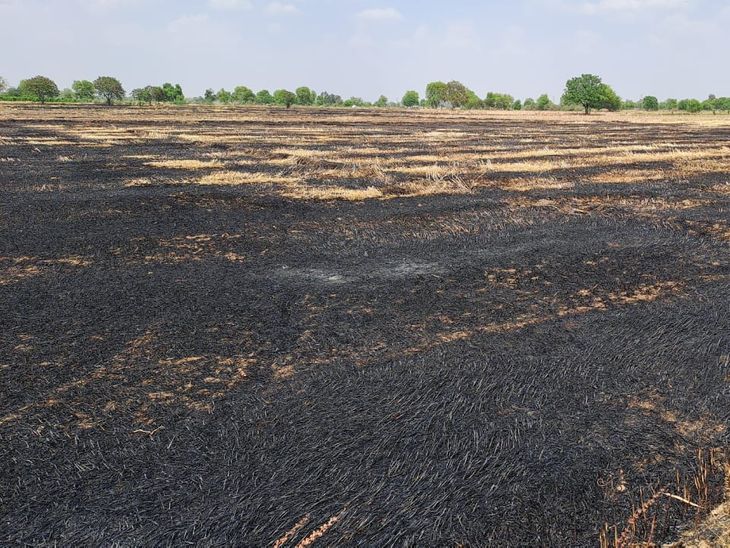 Hisar Narnaund area wheat stalk fire burnt 25 acres of chaff. | हिसार ...