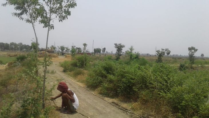 Example: Six acres of barren land was turned green in seven years ...