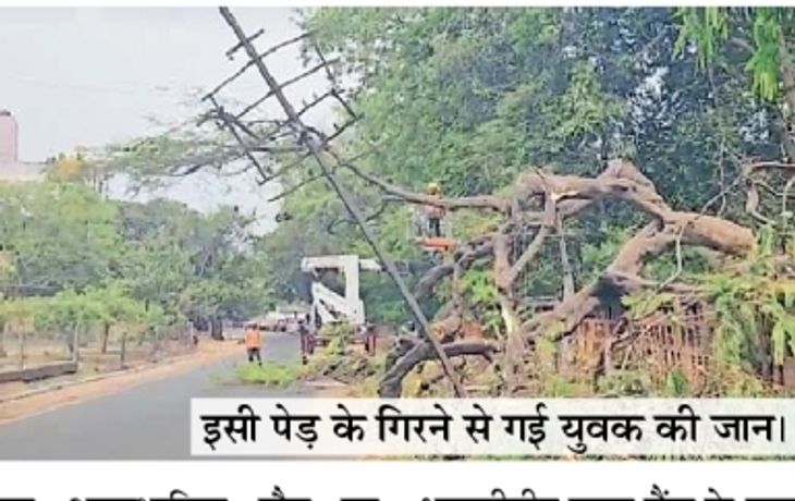 A young man died when a tree fell on him while he was urinating near ...